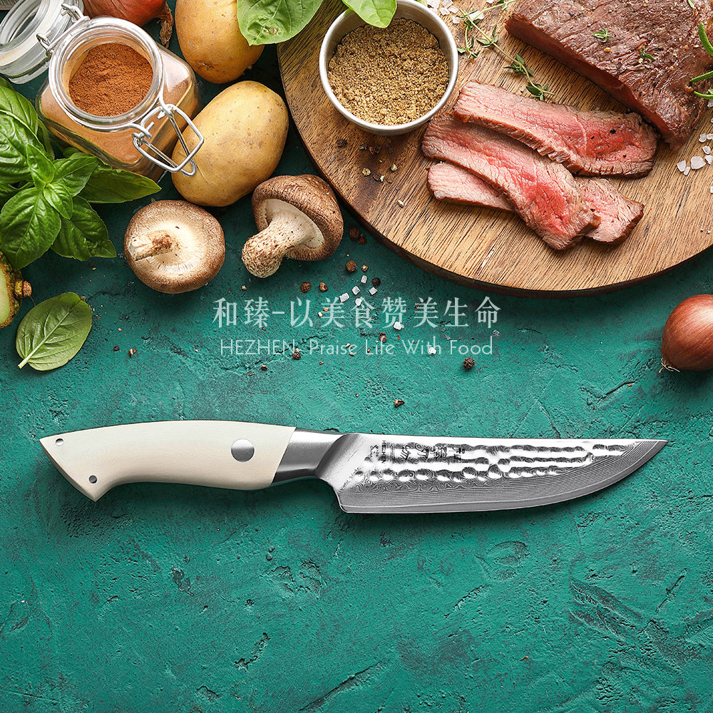 HEZHEN 5 inches 67 Layers Damascus Steel Steak Knife Elegant Hammer Se ...