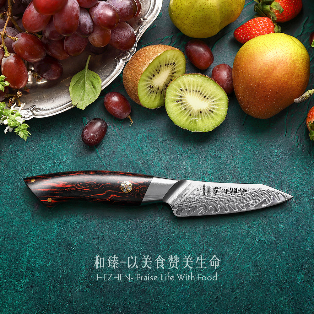 HEZHEN 3.5 inches 73 Layers Damascus Steel Paring Knife Elegant Patter ...