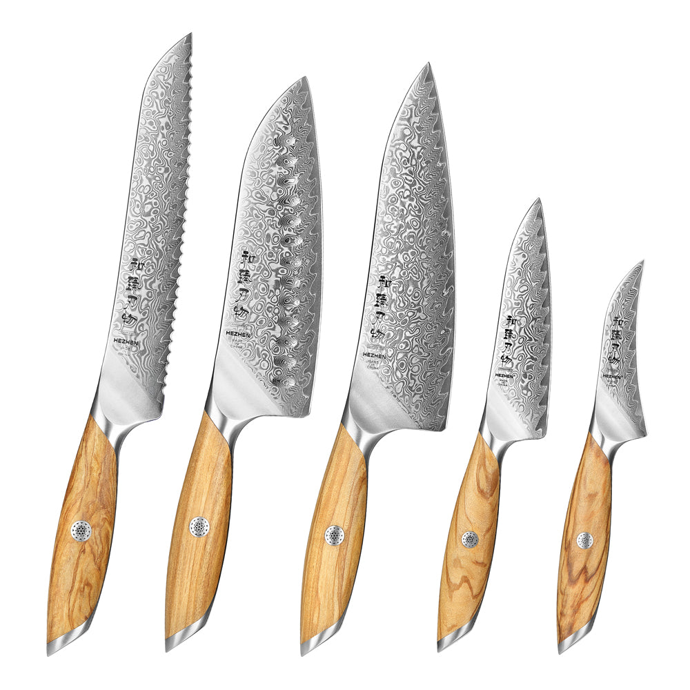 HEZHEN 5-piece Chef Knife Set, 73 Layers Damascus Powder Steel, Olive ...